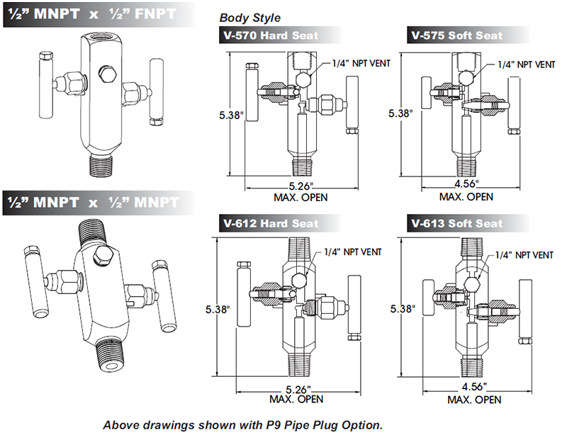 Parker Two-Valve Block & Bleed Manifolds | Valin